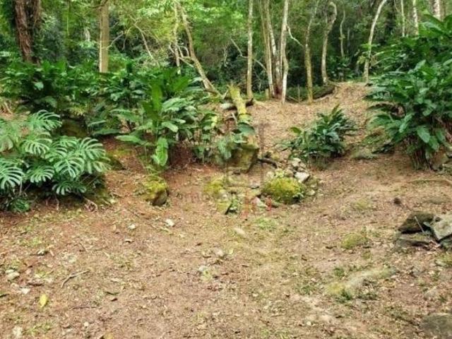 Terreno 650 m² Venda por R$ 800.000 Toque Toque Grande, São Sebastião SP