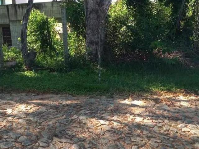 Terreno