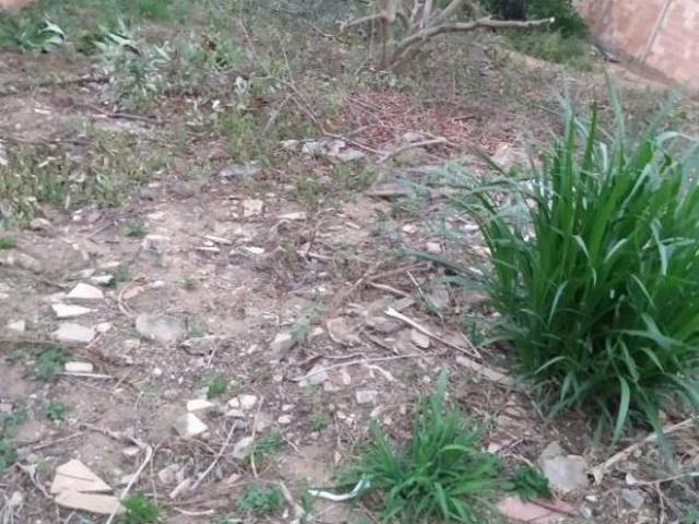 Terreno para venda em Dom Bosco, Pará de Minas