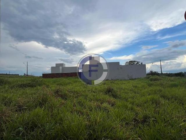 Terreno