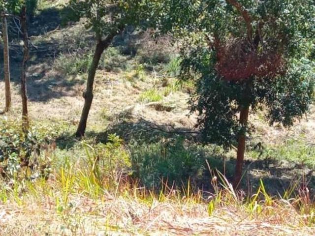 Terreno para venda em Salvaterra, Juiz de Fora