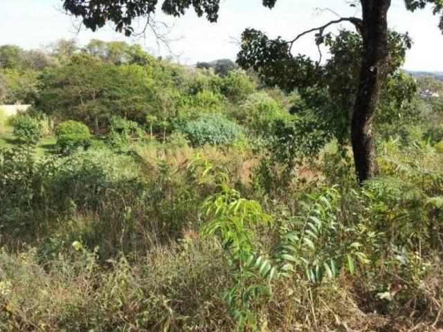 Terreno