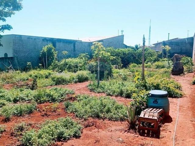 TERRENO 608 m2 À VENDA BARÃO GERALDO CAMPINAS/SP