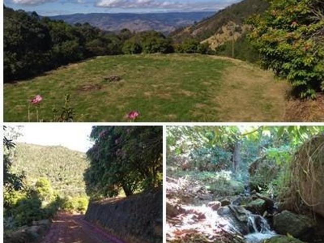Terreno
