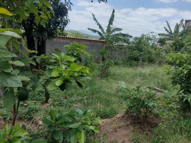 Terreno