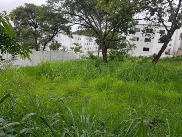 Terreno