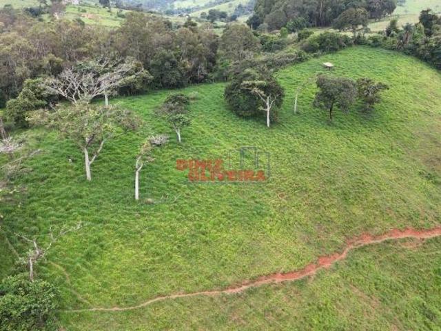 Terreno 6,5 alqueires possui bastante água
