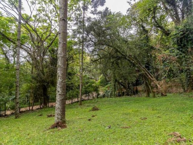 Terreno 745m2 rua sem saída Santa Felicidade