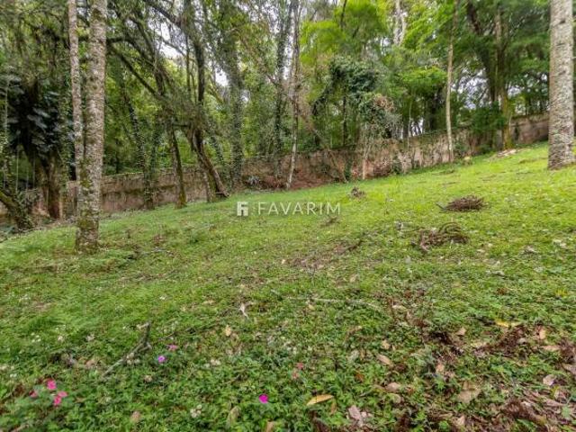 Terreno 745m2 rua sem saída Santa Felicidade Ref