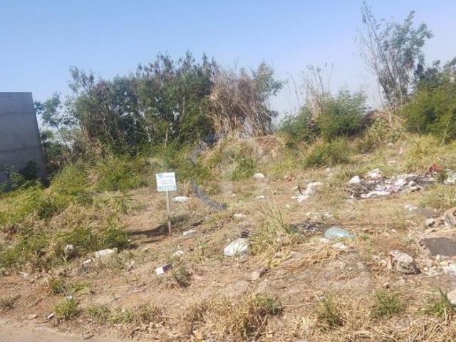 Terreno