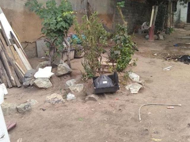 Terreno