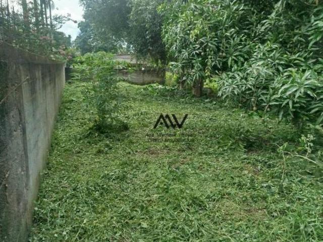 Terreno