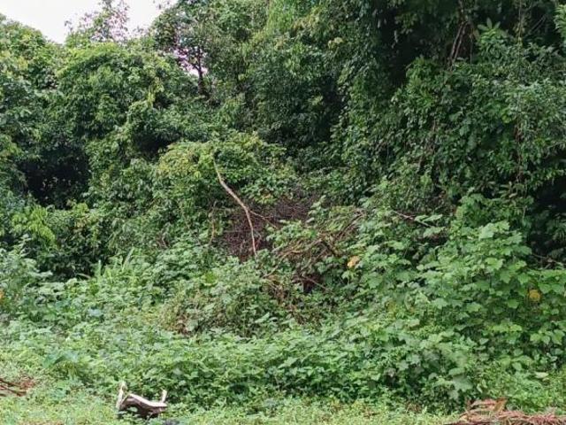 Terreno, 790m², à venda em Bertioga, Morada da Praia