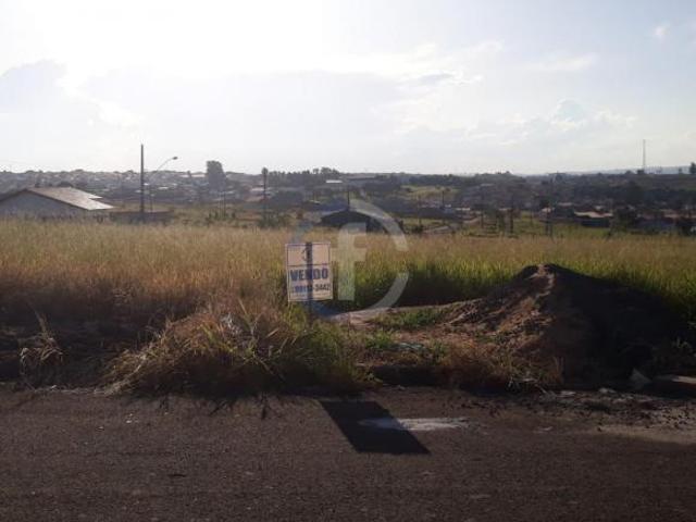 Terreno