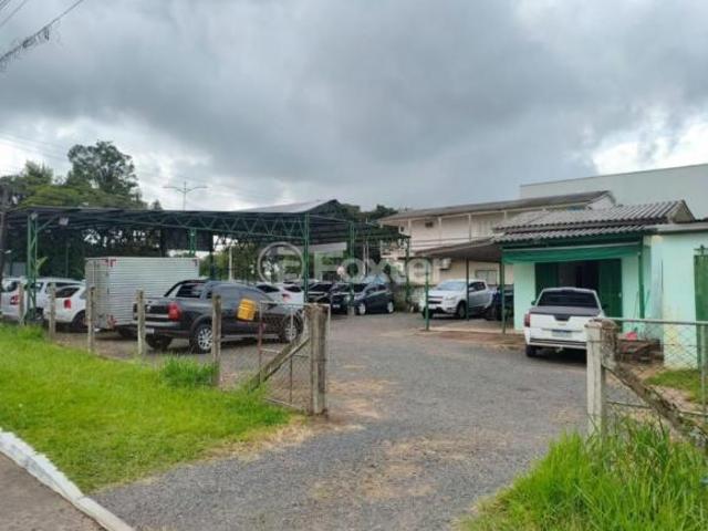 Terreno, 700 m², em Centro