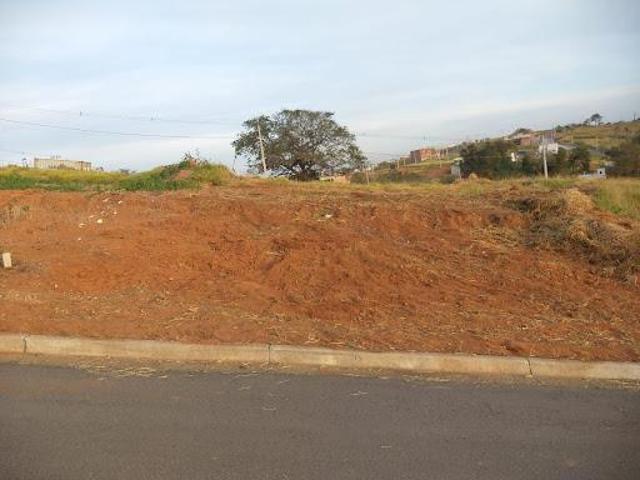 Terreno