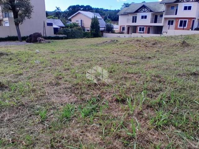 Terreno 728 m de esquina Bairro Piá Nova Petrópolis RS