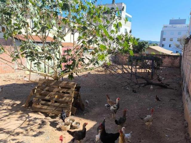 Terreno