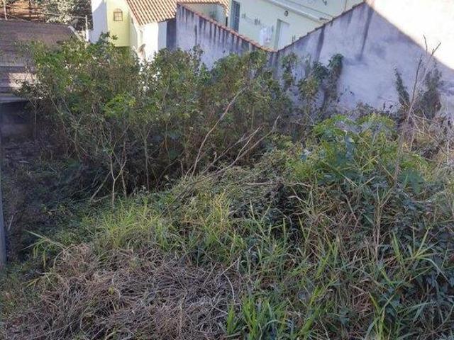 TERRENO 7X21 JD COLONIAL