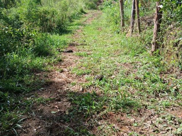 TERRENO 7.000m² com Poço Artesiano em Munhoz