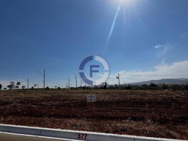 Terreno