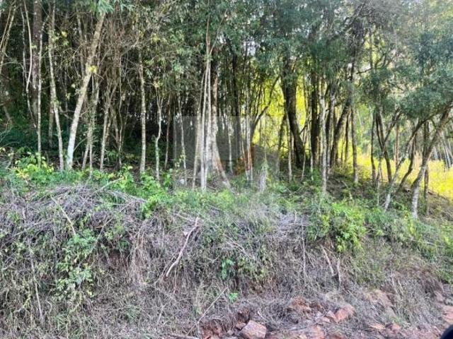Terreno 863m² Nova Petrópolis | São Jacó com Vista Panorâmica | Parcelamento Direto 36x