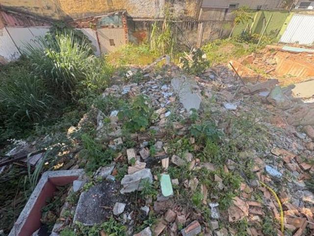 Terreno
