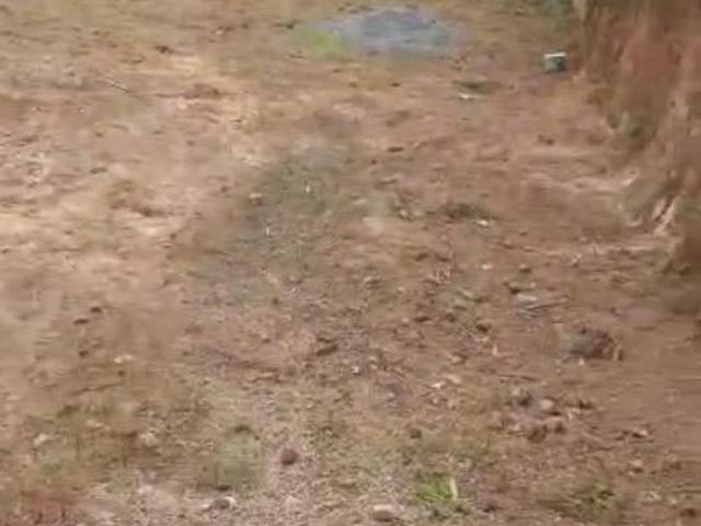 Terreno 872m² / Vila Suzana / Sem arvores / ao lado da praça com lindo visual