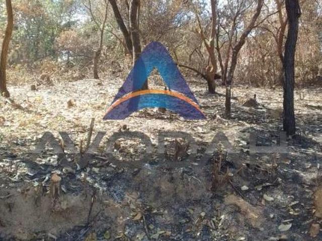 Terreno para venda em São Joaquim de Bicas