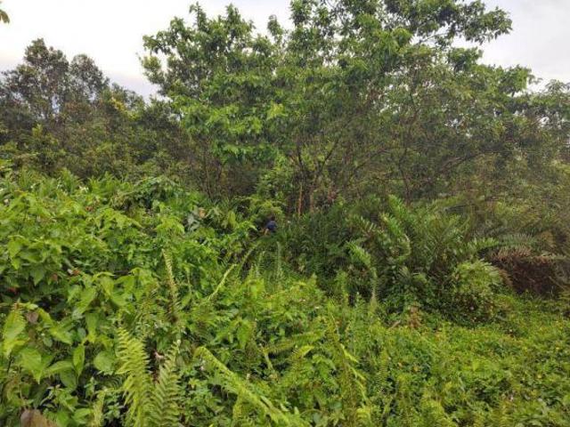 Terreno, 800m², à venda em Bertioga, Morada da Praia