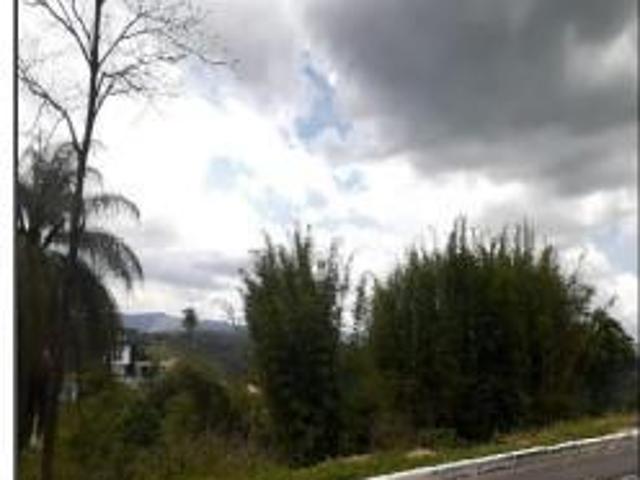 Terreno