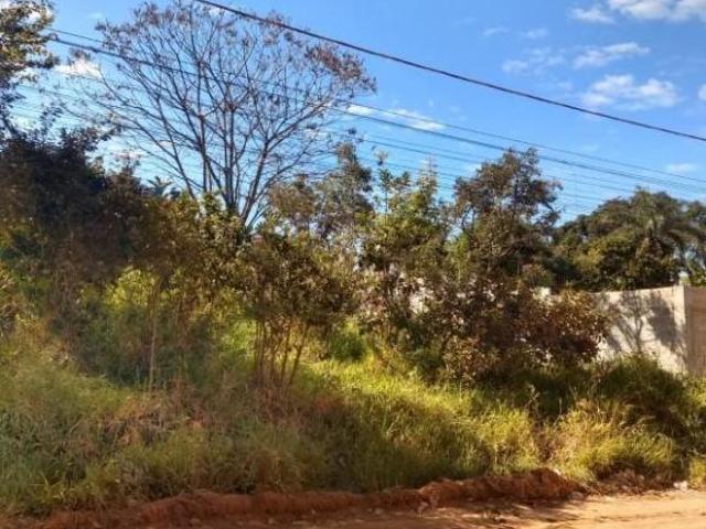 Terreno