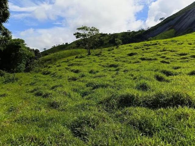 Terreno