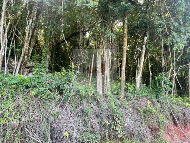 Terreno 969m² Nova Petrópolis | São Jacó com Vista Panorâmica | Parcelamento Direto 36x