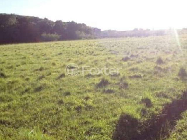Terreno, 98000 m², em Esteio Velho