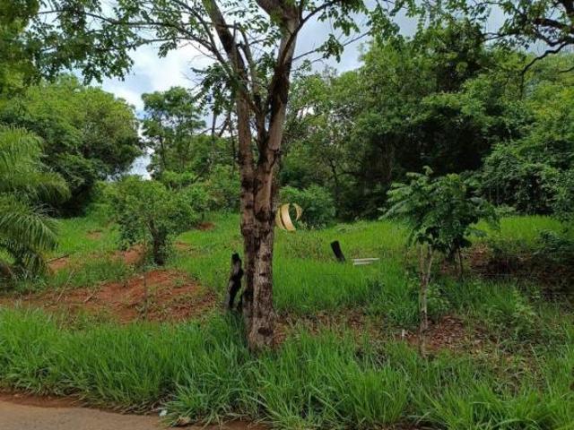 Terreno