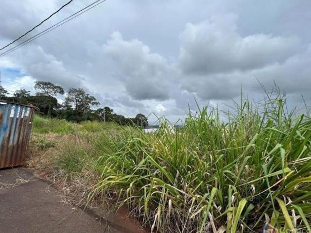 Terreno
