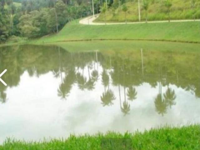 Terreno