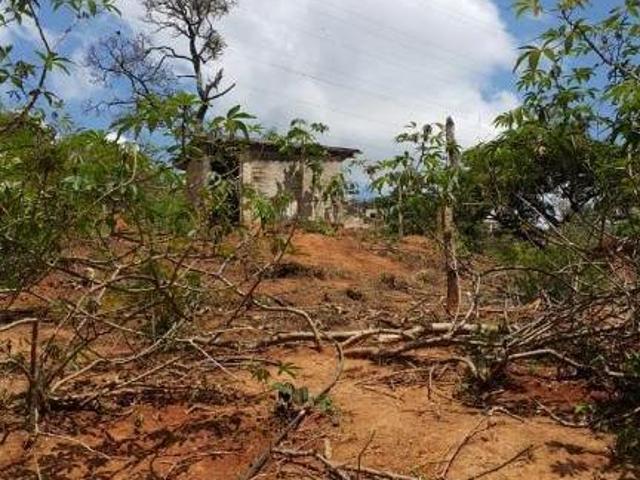 Terreno