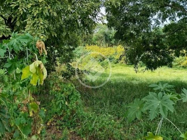 Terreno 9280m² no bairro Bom Jesus em Matozinhos MG / MY BROKER