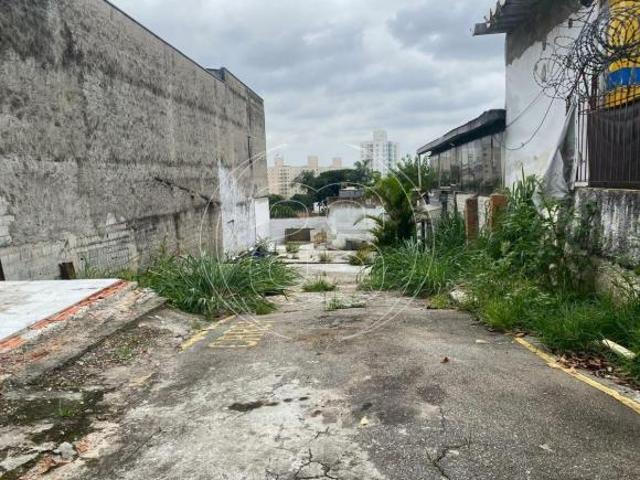 Terreno 9x42 Z.: ZC Vila Mascote