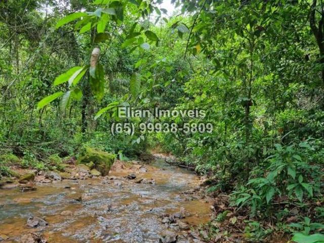 Terreno/Chácara 5 hectares no colonial Jamaca à venda na Chapada dos