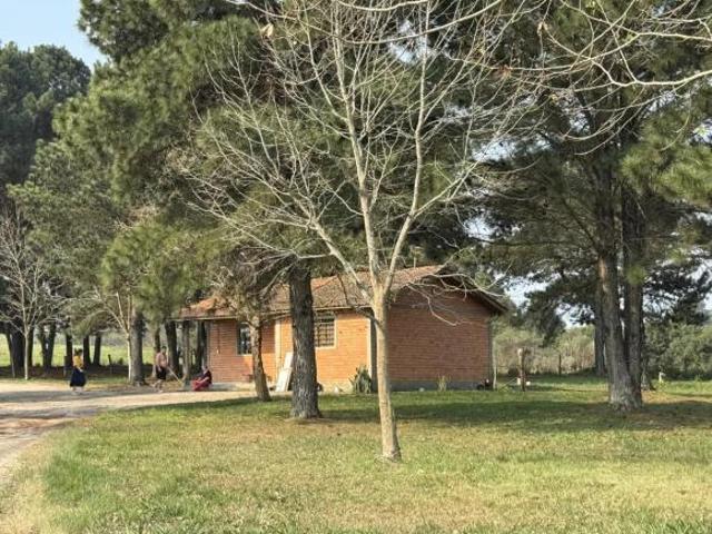 Terreno/Área São Luiz do Purunã