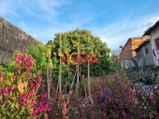 Terreno/lote comercial ou residencial à venda, 250m², jardim santa barbara guarulhos/sp