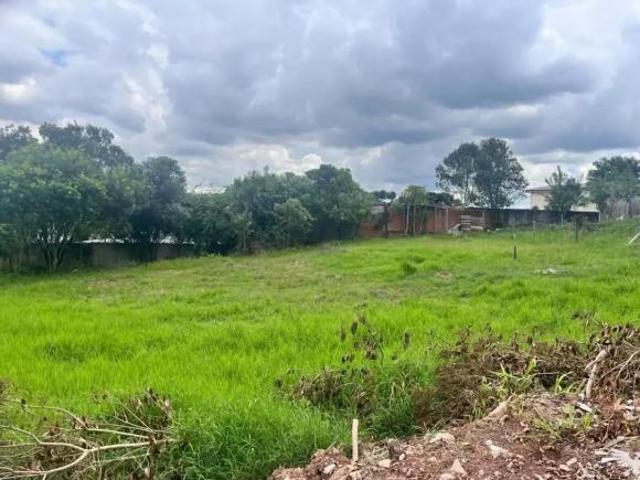 Terreno/Lote na VILA AUGUSTA com 434,50m²