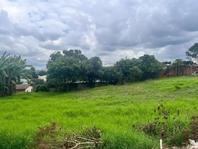 Terreno/Lote na VILA AUGUSTA com 434,50m²