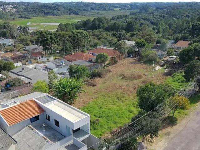 Terreno/Lote na VILA AUGUSTA com 434,50m²