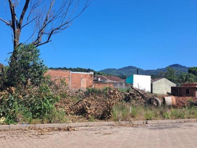 Terrenos