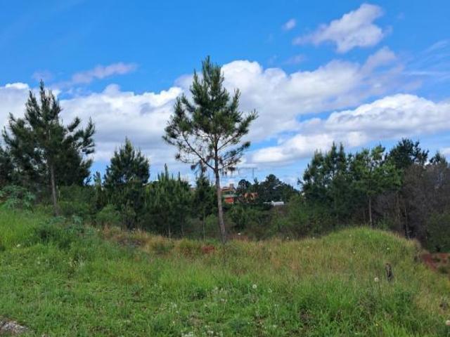 Terrenos