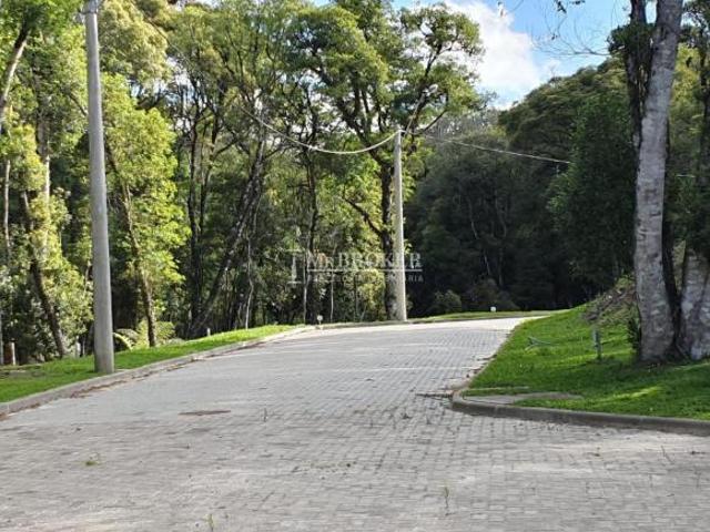 TERRENOS, VILA MARIANA